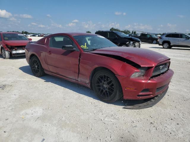 FORD MUSTANG 2011-2012 5.0L Fuel Tank - Jim's Domestic Auto Salvage